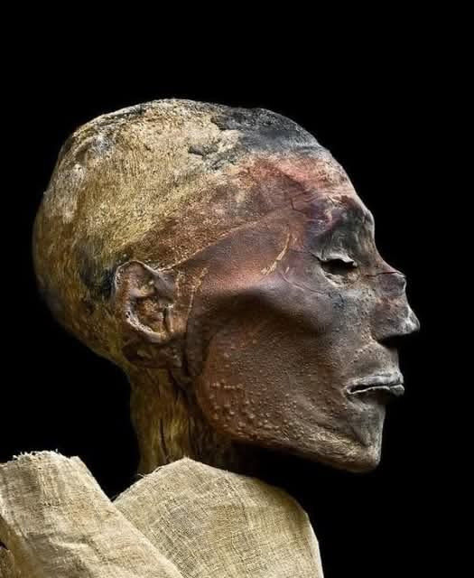 Mengapa Mumi Ramses II Begitu Sempurna? Ilmu Modern Ungkap Rahasianya ...